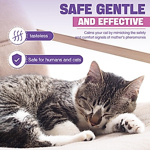 Cat Pheromones Calming Diffuser Refill 6 Pack Multicat Pheromone Diffusers Refills Relieve Anxiety Stress Reduce Spraying Fighting and Scratching for Cats Calm 48ml Fit All Common Diffusers Plug In