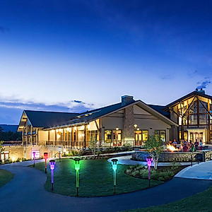 Trlec gt4-ly 24 pcs 5W High Brightness Solar Power LED Lawn Lamps with Lampshades Seven Color. Used in Greenhouse, Landscape Lighting, Home Garden, or Small Pot Plant etc