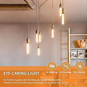 T10 LED Bulbs Warm White 3000K Clear Glass Tubular Edison Bulb dimmable E26 6W Equal 60 watt Light Bulb Warm White Light Bulbs 600LM Tubular for Rustic Pendant,Chandeliers,Wall sconces,Vanity . (8)