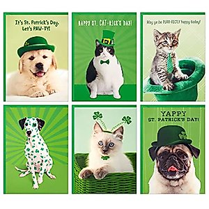 Hallmark St. Patricks Day Cards Assortment, 36 Cards with Envelopes (Cats and Dogs)