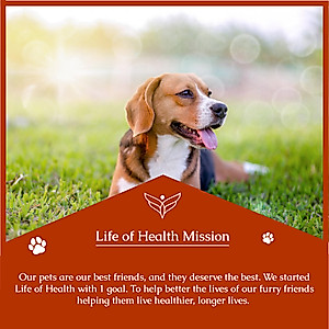 Cat & Dog Urinary Tract Infection Treatment - Helps with Bladder, Kidney, Incontinence, & More - Cat UTI - Dog UTI Treatment - Feline UTI Treatment - Cat UTI Remedy - Dog UTI - 1 fl oz