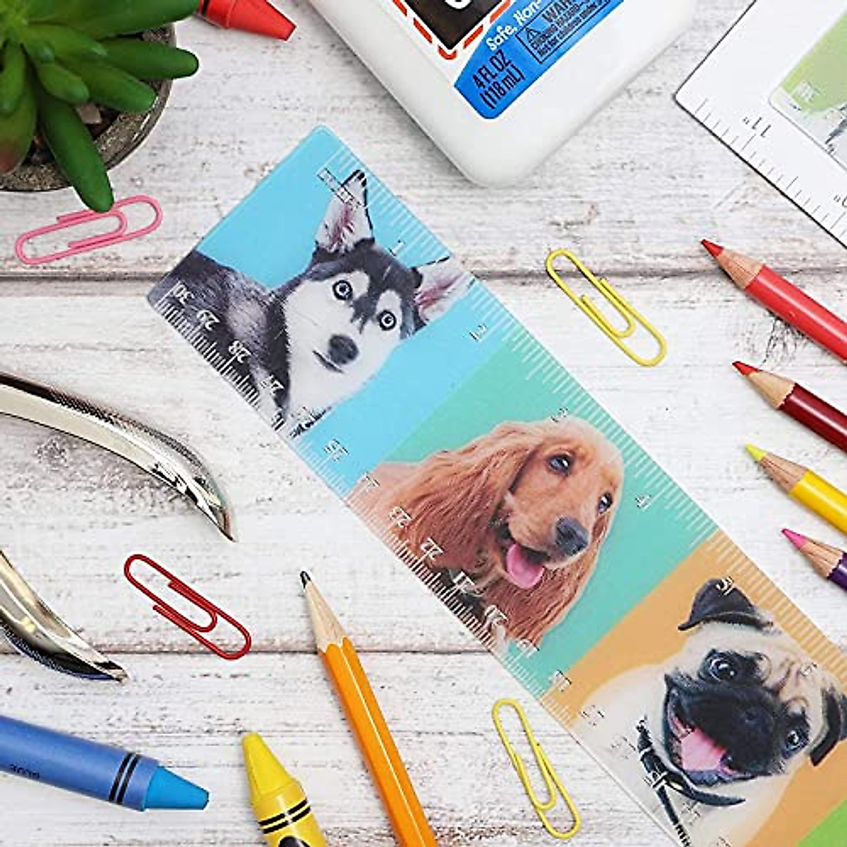 Dog 3D Plastic Rulers for Kids (3 Designs, 12 Pack)