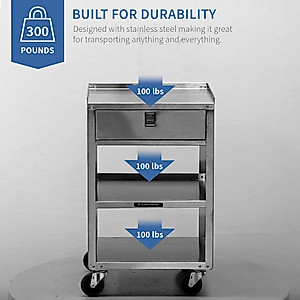 Lakeside Manufacturing 356 Mobile Equipment Stand, Stainless Steel, 3 Shelves and 1 Drawer, 300 lb. Capacity (Fully Assembled)