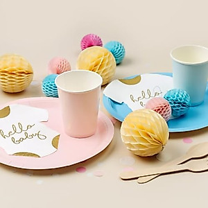 Disposable Eco-Friendly Party 9" Paper Plates Assorted Colors 20ct (White)