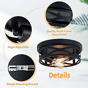 ZHU YAN 2 Pack Black Flush Mount Ceiling Light,Industrial Farmhouse Metal Cage Black Light Fixtures Ceiling Mount for Kitchen Entryway Hallway E26 Base (10.63in)