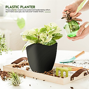 Utopia Home - Plant Pots Indoor with Drainage - 7/6.6/6/5.3/4.8 Inches Home Decor Flower Pots for Indoor Planter - Pack of 5 Plastic Planters for Indoor Plants, Cactus, Succulents Pot - Black