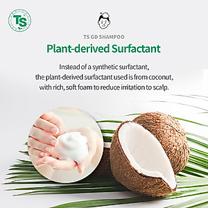 TS GD Shampoo for Dandruff & Itchy Scalp (13.5 Oz) Youth & Teen Shampoo | Treatment for Adolescents | Allergen free | Silicone,SLS,SLES Free | Korean Shampoo