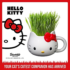 The Cat Ladies Hello Kitty Organic Cat Grass Growing kit with Organic Seed Mix, Soil and Hello Kitty Planter. Natural Hairball Control and Digestive Remedy,Cat Gifts