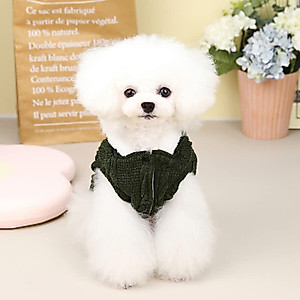 Dog Sweater Dog Hoodie Rdc Pet Clothes Dog Woolen Sweater with Cap Winter Warm Turtleneck Sweater Fleece Coat for Small Dog Medium Dog Cat (S, Classic-Green)
