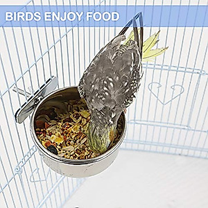 HERCOCCI Bird Feeder Dish Cup, Stainless Steel Parrot Food Bowl Feeding Coop Cups Clamp Holder, Bird Water Cage Bowl for Parakeet Lovebird Conure Cockatiel Budgie Chinchilla (4 Pieces)
