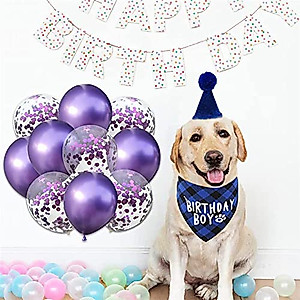 Dog Birthday Party Supplies, Boy Dog Birthday Bandana Scarf and Dog Birthday Hat with Number.