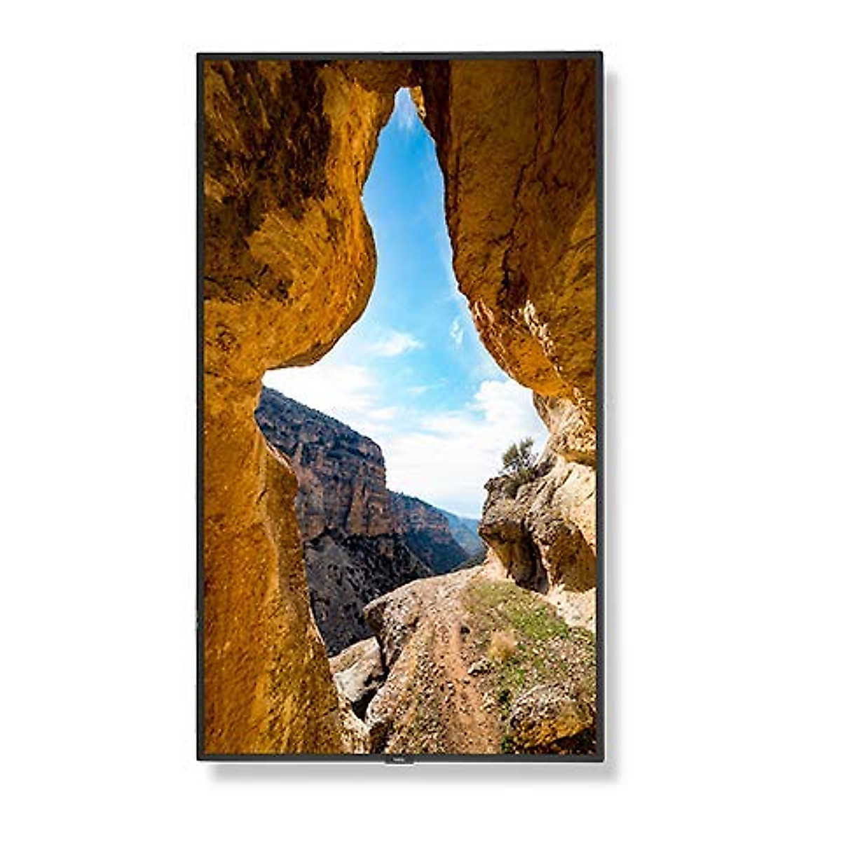 NEC V554 55" Commercial-Grade Large Format Display LED Monitor w/Speakers