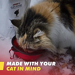 Emergency Zone - Cat Emergency Survival Kit - Bug Out, Emergency, Travel Kits, First Aid - Deluxe