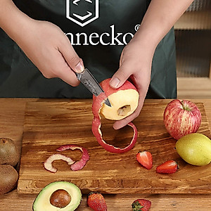 Sunnecko Small Kitchen Knife Japanese Paring Knife 3.5 Inch, Damascus Knife Full Tang, Fruit Knife Dishwasher Safe VG-10 High Carbon Stainless Steel with G10 Handle