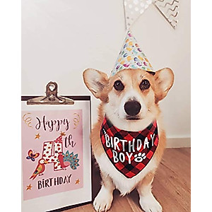 Birthday Boy Dog Bandana