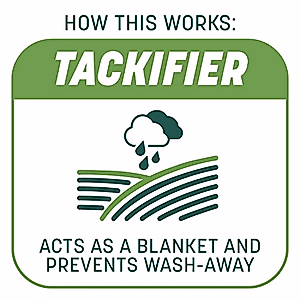 Pennington Smart Patch Tall Fescue Mix Jug 5 lb