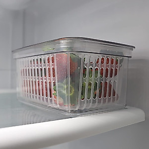 Home Basics Clear Fruit and Vegetable Fridge Storage Container Small Produce Saver with Lid and Removable Colander | Adjustable Air Vent on Lid