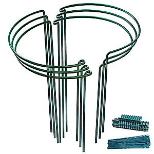 TCBWFY 6 Pack Plant Support Stakes for Peony,10" Widex16 High Heavy Duty Peony Cages and Support,Metal Peony Supports for Outdoor Indoor Plants,Plant Supports for Peony,Tomatoes,Hydrangea,Rose