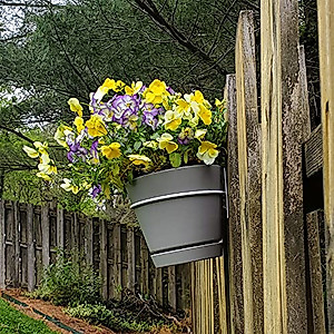 Esterno Metal Wall Ring Planters (8-Inch, White); Wall-Mounted Garden Pot Holders