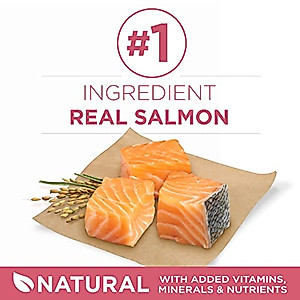 Purina ONE Natural, Sensitive Stomach Dry Dog Food, +Plus Skin & Coat Formula - 31.1 lb. Bag