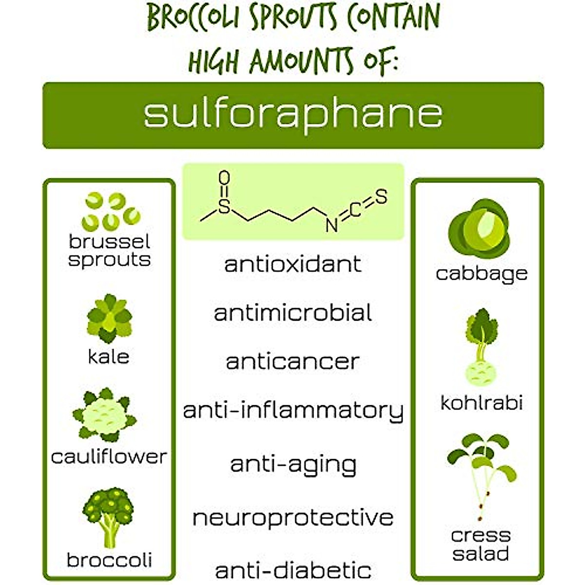 Organic Broccoli Sprouting Seeds by Handy Pantry | 2.5 Pound Resealable Bag | Bulk Non-GMO Broccoli Sprouts Seeds, Contain Sulforaphane