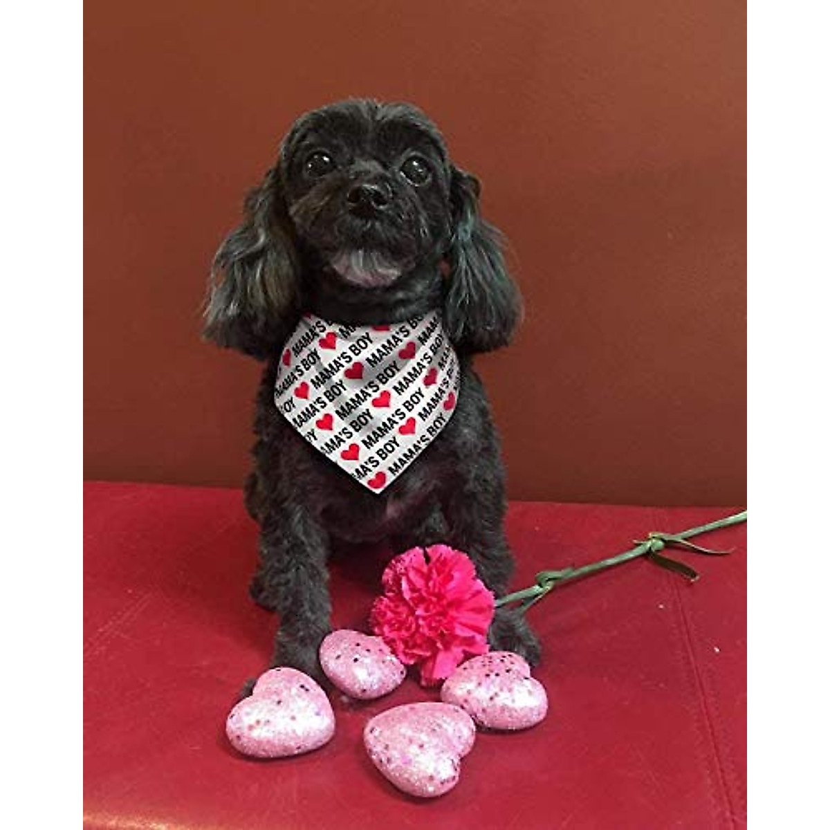 2 Pack Valentine's Dog Bandana, Puppy Valentine Scarfs for Small Dogs Cats