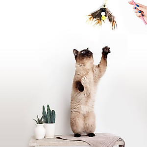 Hokoad Cat Insect Feather Toys Replacement Cat Toy Wand Refills, 6 Pieces Natural Insect Cat Toy Feathers Refill, Interactive Cat Teaser Wand Attachments, with Bell