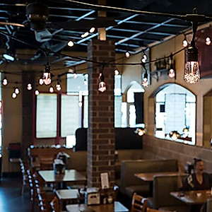 Enbrighten Premium Warm White String Lights, 48ft Black Cord, 24 Shatterproof Acrylic Bulbs, Weatherproof, Outdoor String Lights, 35631