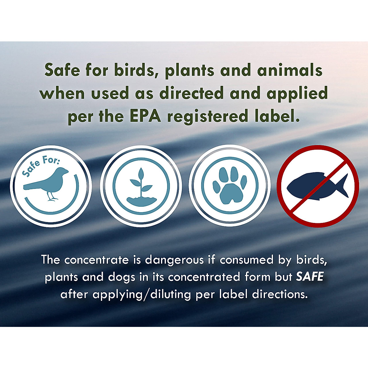 Fountain Algaecide and Clarifier - 64oz - Kills and Inhibits All Types of Algae Growth, Formulated for Small Ponds and Water Features, Treats up to 64,000 Gallons