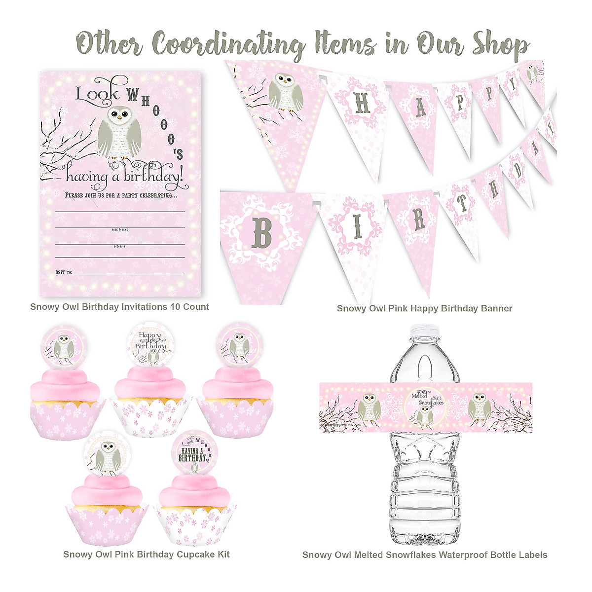 POP parties Snowy Owl Birthday Party Invitations - Blue - 10 Invitations 10 Envelopes