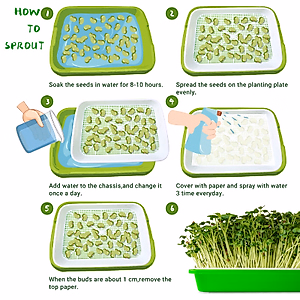 HolyMaji 10 Pack Small Seed Sprouter Tray - BPA Free Plant Seed Germination Tray with Drain Holes, Soil-Free Wheatgrass Cat Grass Tray Microgreens Growing Trays Plus Propagation Paper