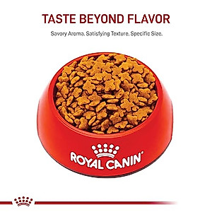 Royal Canin Small Adult 8+ Dry Dog Food, 13 lb bag