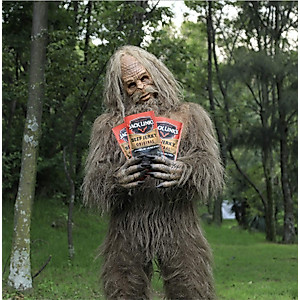 Jack Link's Beef Sticks, Original – Protein Snack, Meat Stick with 6g of Protein, Made with 100% Beef, Individually Wrapped Beef Snack Sticks – 0.92 Oz. (20 Count)