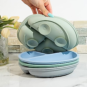 Telebaby Suction Plates for Babies & Toddlers | 100% Silicone with Divided Design | Suction Feature Keeps Plates in Place | Dishwasher & Microwave Safe | 4 Pack
