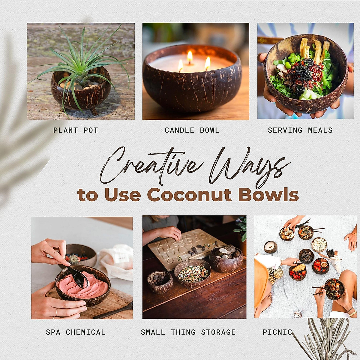 Natural Craft Coconut Bowls and Spoons set (Set of 4)