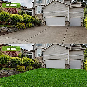 ZGR Premium Artificial Grass 3' x 4' Outdoor Rug, 1.38" Realistic Thick Turf for Garden, Yard, Fake Lawn, Dogs Synthetic Grass Mat, Non-Toxic, Rubber Backed with Drainage Holes, Customized Sizes