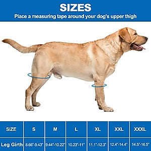 HUAME Dog Knee Brace, Dog Leg Braces for Back Leg for ACL, Knee Cap Dislocation, Arthritis, Reduces Pain and Inflammation with Side Stabilizers Dog Leg Brace (S, Black)