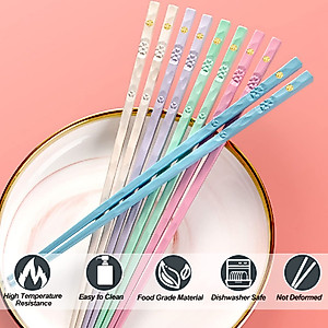 5 Pairs Fiberglass Chopsticks, Slivek Reusable Premium Japanese Chinese Korean Chopsticks Dishwasher Safe, Non-slip, Lightweight, 9.5 inches (Morandi)