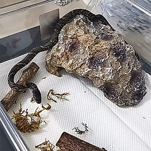 Flushbay Reptile Rock Hide Cave Resin Large Reptile Hideouts Habitat Cave Terrarium Decorations for Bearded Dragon Lizards Geckos Leopard Chameleons Frogs Turtles Snakes