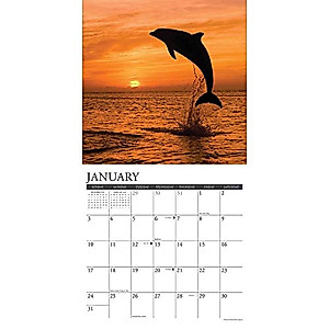 Dolphins 2021 Wall Calendar