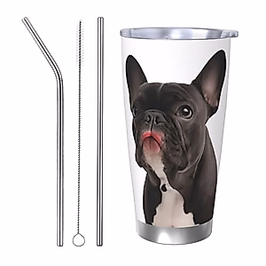 NHJKLWQSZ French Bulldog 20oz Stainless Steel Tumbler With Lid And Straw, Double Wall Vacuum Insulated Coffee Mug Travel Cups Leak-Proof Lid For Hot And Cold Drinks, Metal Straws And Brush