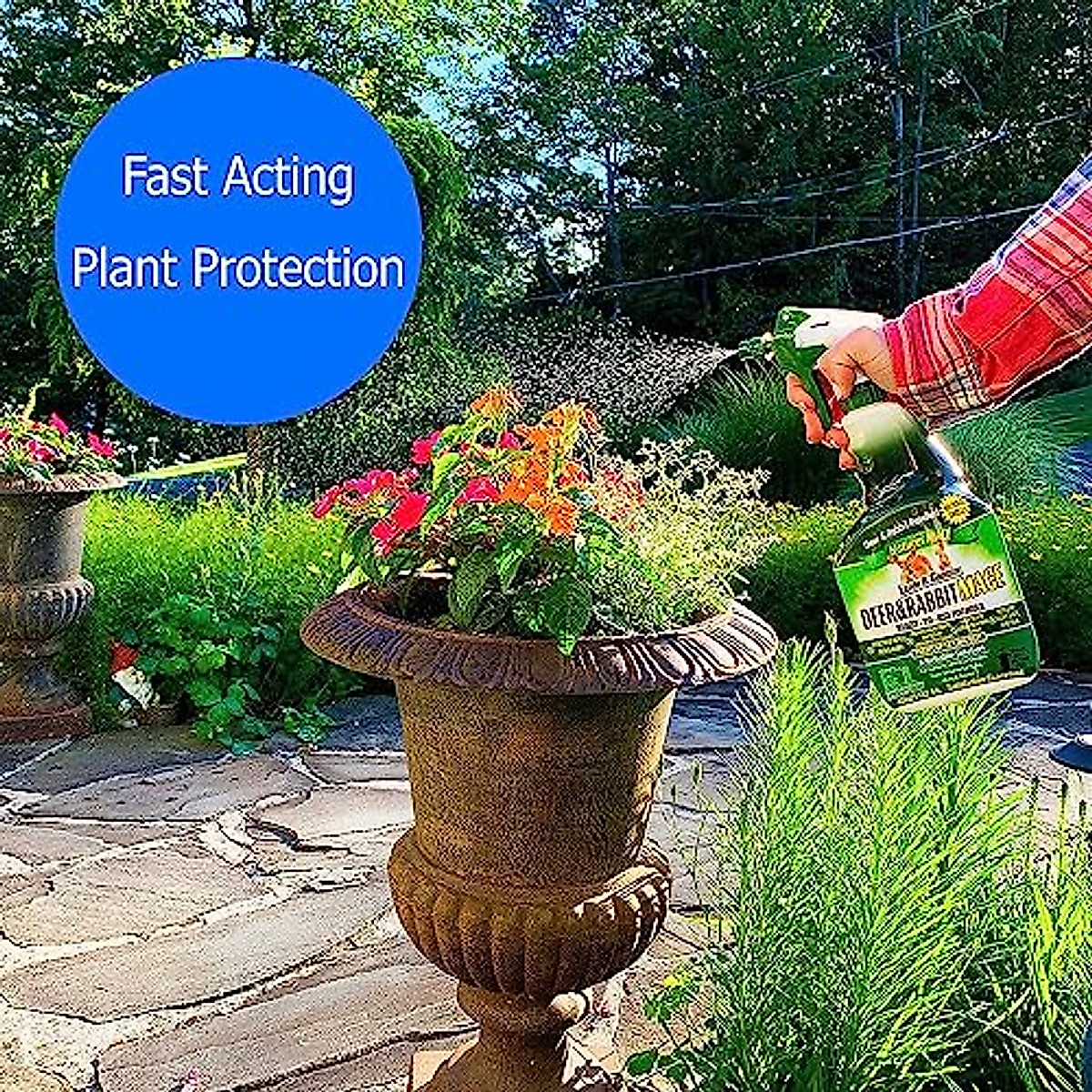 Nature's MACE Deer & Rabbit Repellent 40oz Spray/Covers 1,400 Sq. Ft. / Repel Deer from Your Home & Garden/Safe to use Around Children, Plants & Produce/Protect Your Garden Instantly