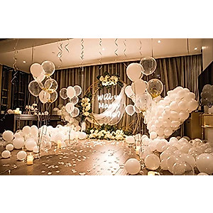 Clear Balloons Different Sizes 151PCS 18/12/10/5 Inch Clear Balloon Garland Arch Kit Quality Transparent Latex Balloons Decorations for Party Birthday Graduation Wedding