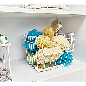 iDesign RPP Wire Medium Potato Storage Bin, Coconut