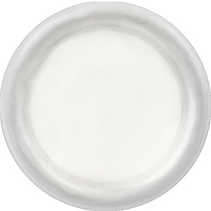 L'Oreal Paris Colorista 1-Day Washable Temporary Hair Color Spray, Silver, 2 Ounce