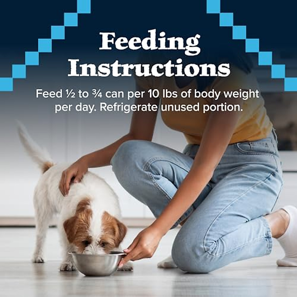 Blue Buffalo Wilderness Natural High Protein Wet Food for Adult Dogs, Turkey & Chicken Grill with Wholesome Grains, 12.5-oz Cans, 12 Count