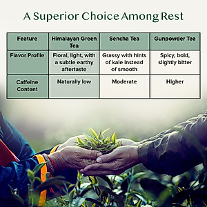 VAHDAM, Himalayan Green Tea Leaves (50+ Cups, 3.53 Oz) Non GMO, Gluten Free | High Elevation Grown Green Tea Leaves From Himalayas | Pure Unblended Single Origin Green Loose Leaf Tea | Vacuum Sealed