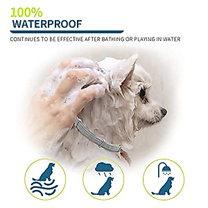 Advanllent Flea Collar for Dogs, 8 Month Flea and Tick Prevention for Dogs, 27 Inch Adjustable