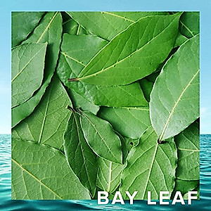 CRISTIANO RONALDO Eau De Toilette Cologne Scent for Men - With Pineapple Sorbet, Mandarin, and Patchouli - From Cristiano Ronaldo's Original Men's Fragrance Collection - 1.7 oz