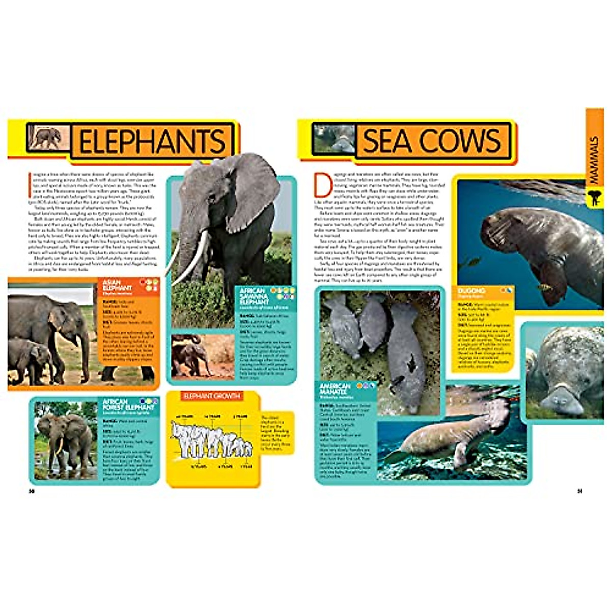 National Geographic Kids Animal Encyclopedia, 2nd Edition: 2,500 Animals with Photos, Maps, and More!